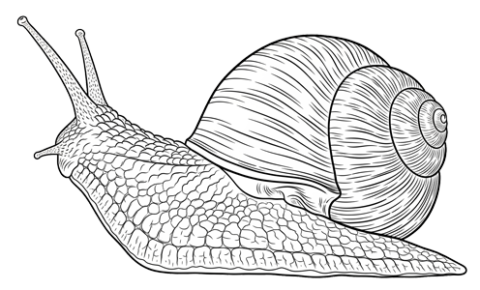 Dematel method - OnlineOutput.com